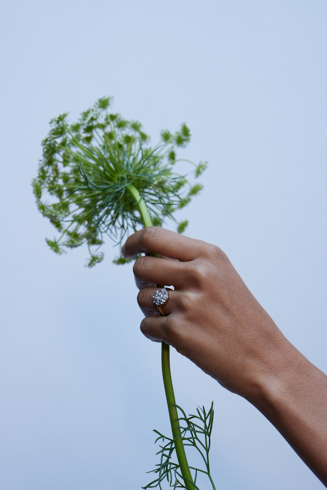 Sustainability – Charlotte Sayers